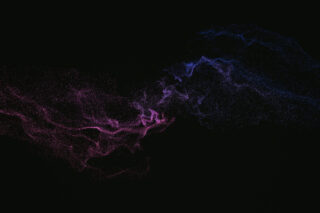 Who is Audinate | Dante