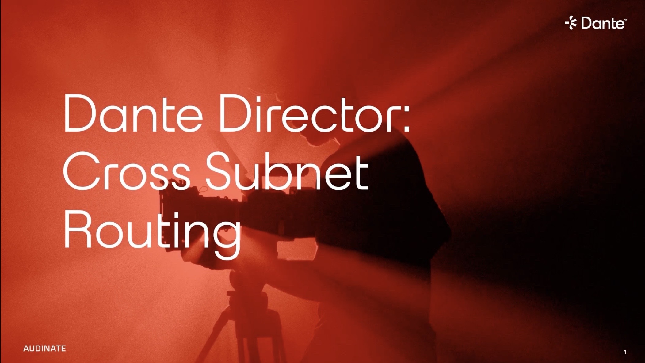 Dante Director – Cross Subnet Routing | Dante